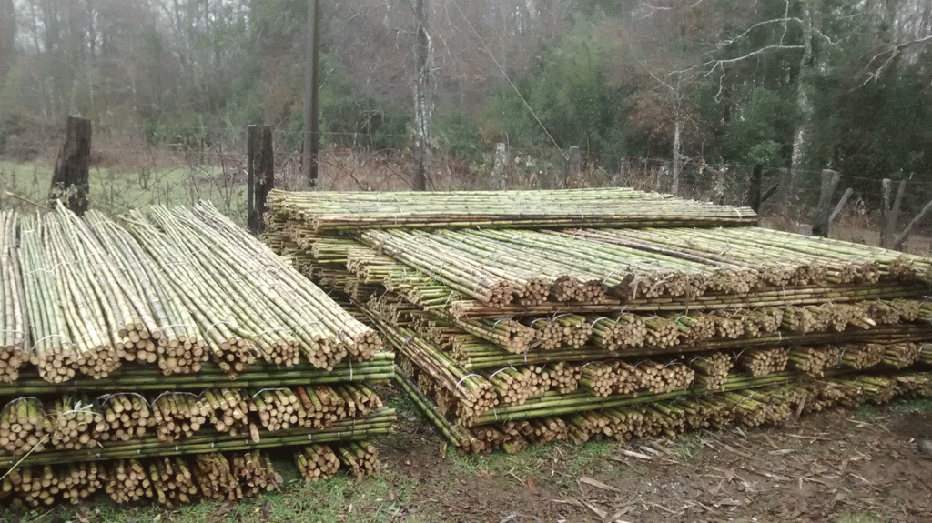 Productos y Servicios – Coligues Sur de Chile